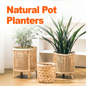 10 Best Wholesale Plant Pots Suppliers for Retailers